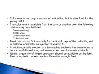 Lecture 4: Calf management | PPT