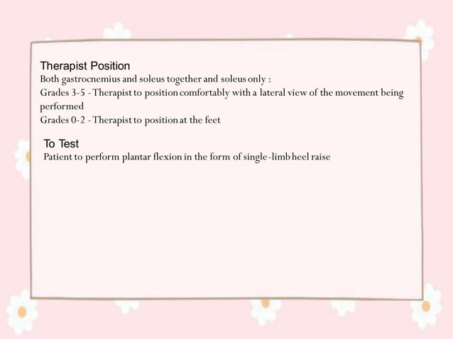 CALF MUSCLE and it's importance. Action of calf muscle and it's ...