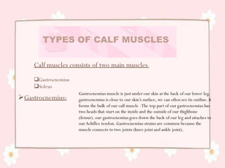 CALF MUSCLE and it's importance. Action of calf muscle and it's ...