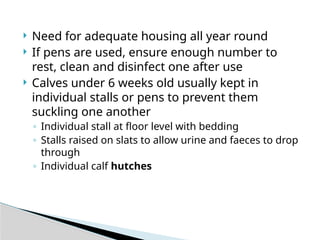 Calf Rearing in a dairy production .pptx