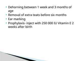 Calf Rearing in a dairy production .pptx