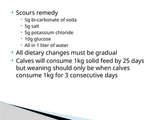 Calf Rearing in a dairy production .pptx