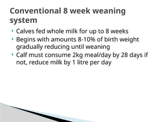 Calf Rearing in a dairy production .pptx