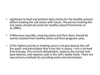 Calf scours disease | PPTX