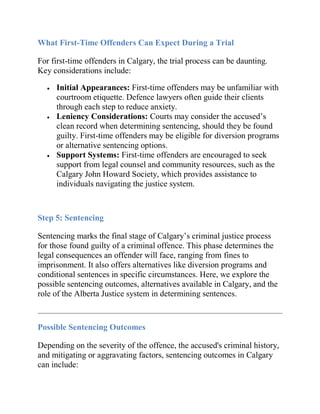 Calgary’s Criminal Justice System A Step-by-Step Guide.pdf