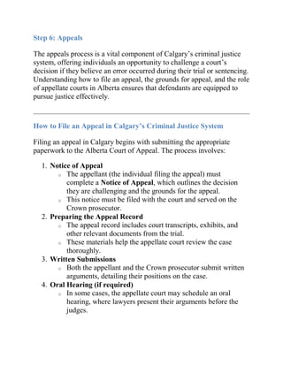 Calgary’s Criminal Justice System A Step-by-Step Guide.pdf