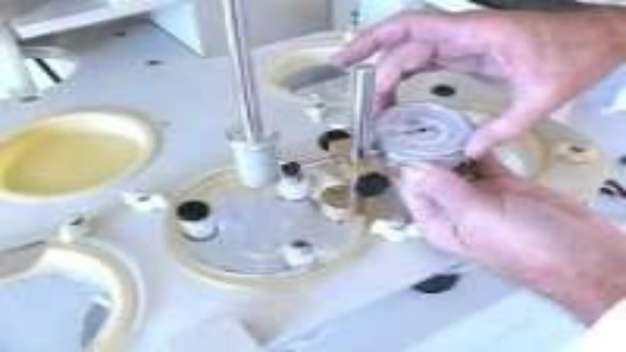 calibration of dissolution apparatus[1].pptx