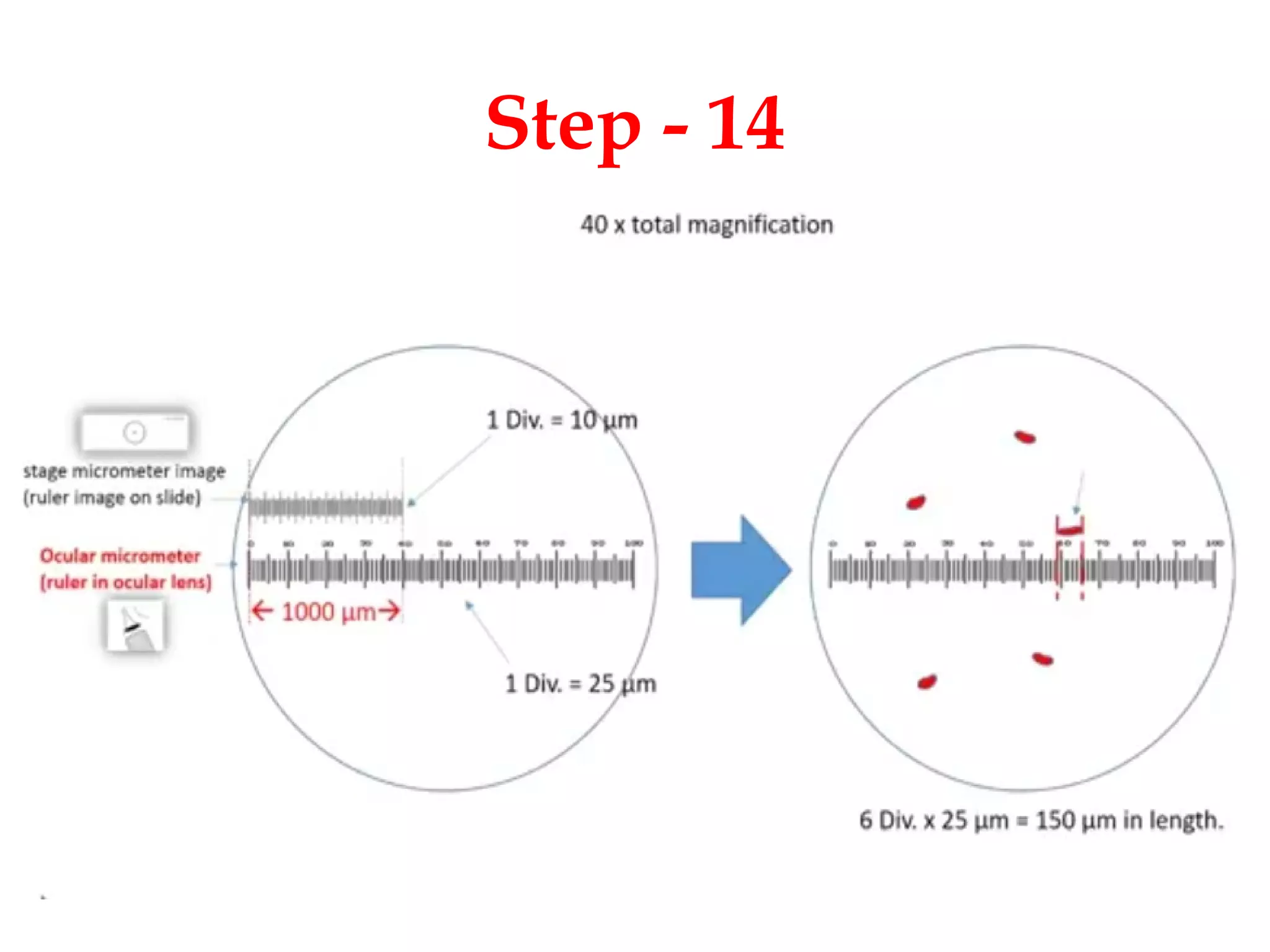 Calibration of eyepice micrometer with stage micrometer | PPT
