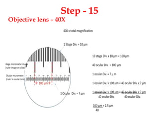 Calibration of eyepice micrometer with stage micrometer | PPT