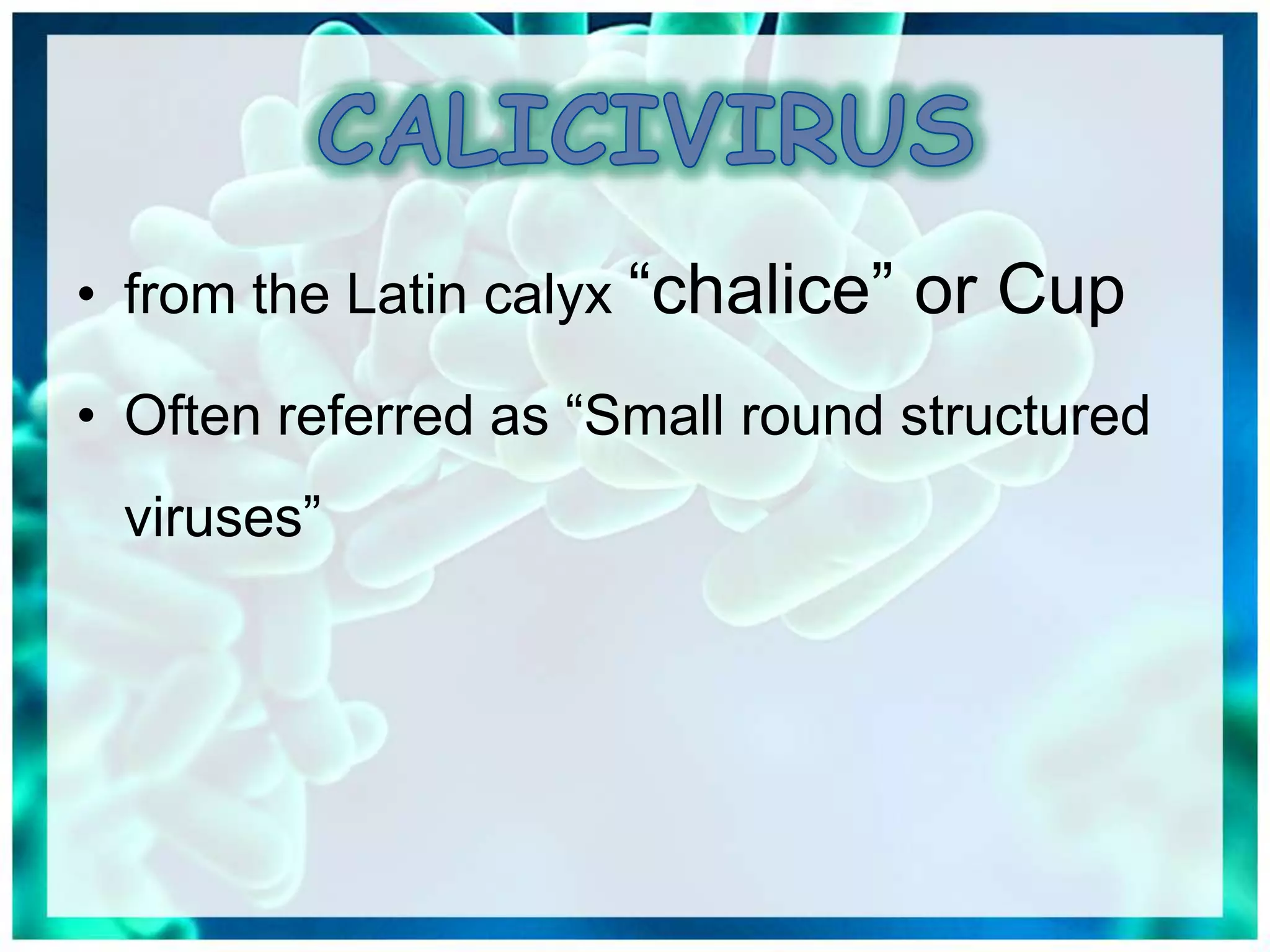 Caliciviridae | PPTX