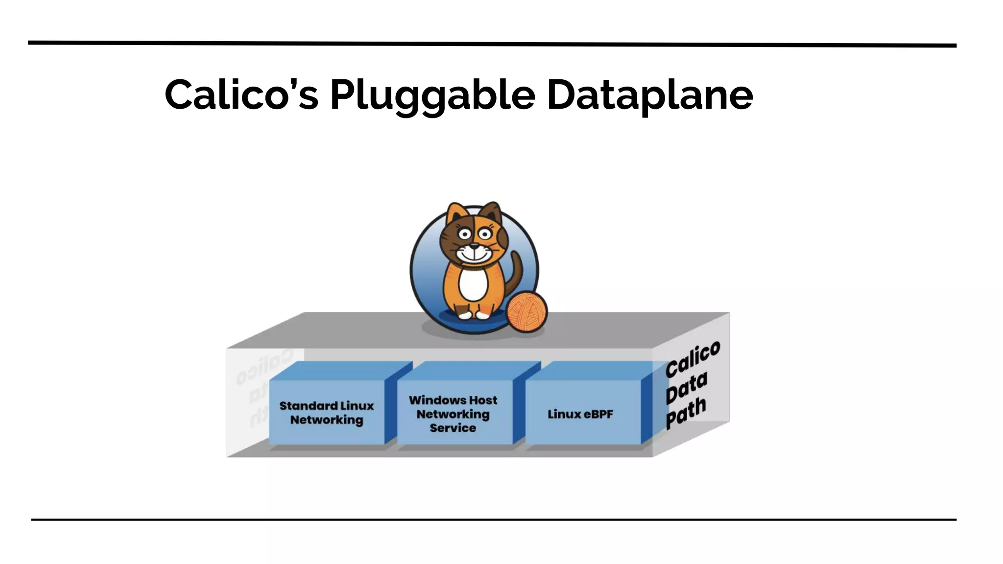 Calico-eBPF-Dataplane-CNCF-Webinar-Slides.pdf