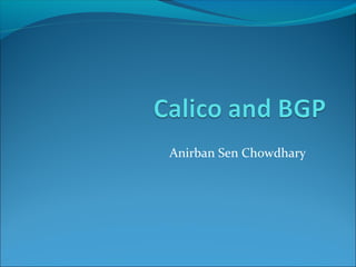 Calico and BGP | PPT
