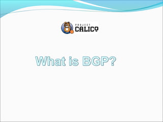 Calico and BGP | PPT