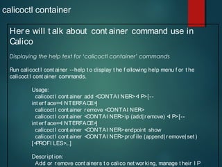 Calico and container | PPT
