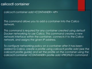 Calico and container | PPT