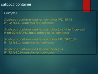 Calico and container | PPT