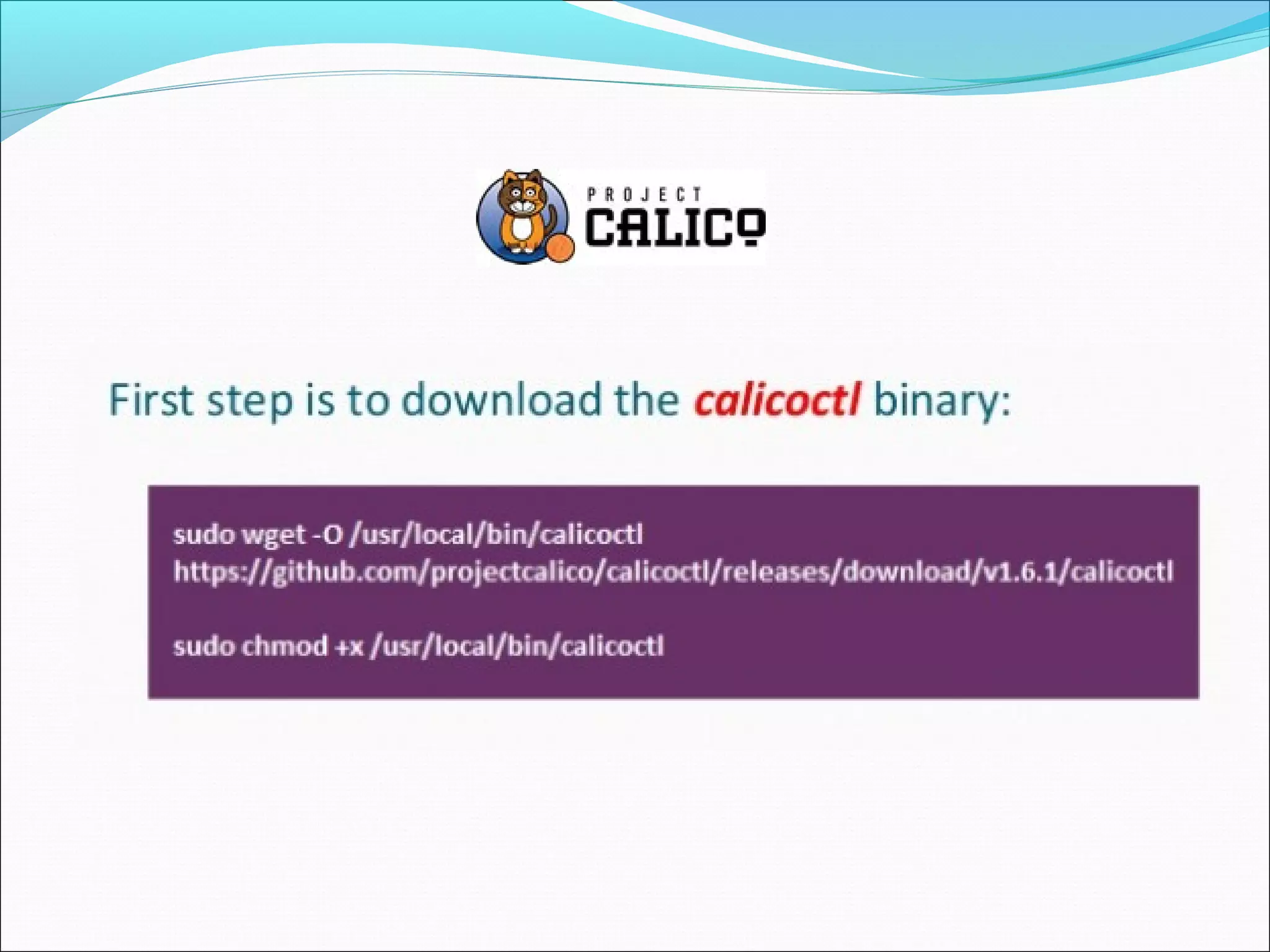 Calico integration | PPT