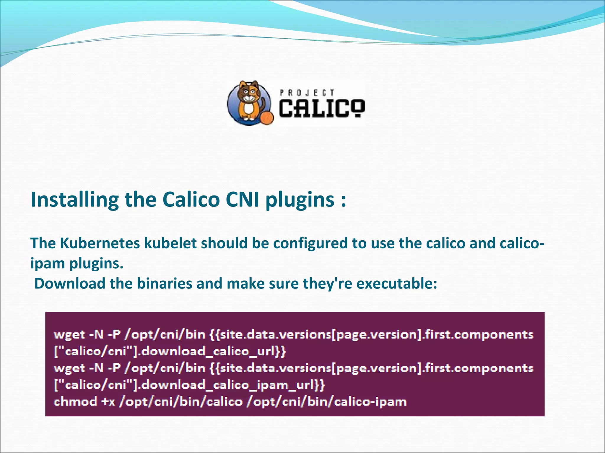 Calico integration | PPT