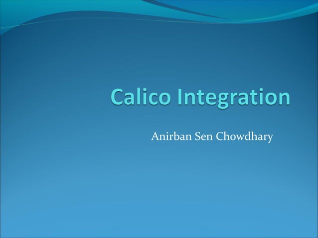 Calico integration | PPT