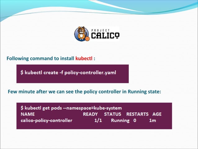 Calico integration | PPT