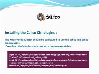 Calico integration | PPT