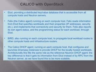 Calico with open stack | PPT