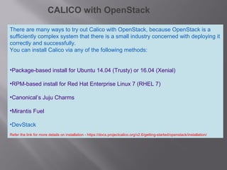 Calico with open stack | PPT