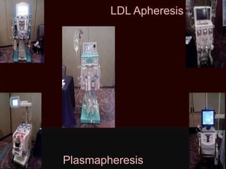 Cali final presentation | PPTX