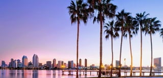 Michael Giuffrida | PDF