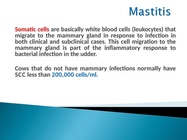 milk tests and cmt test to diagnose mastitis | PPTX
