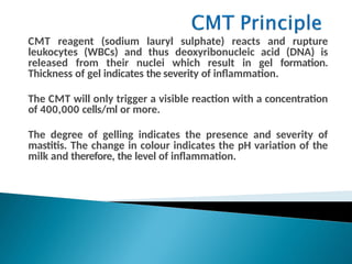 milk tests and cmt test to diagnose mastitis | PPTX