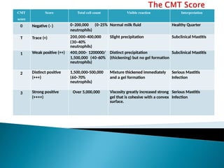 milk tests and cmt test to diagnose mastitis | PPTX