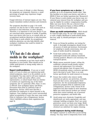 California Mold in the Workplace | PDF