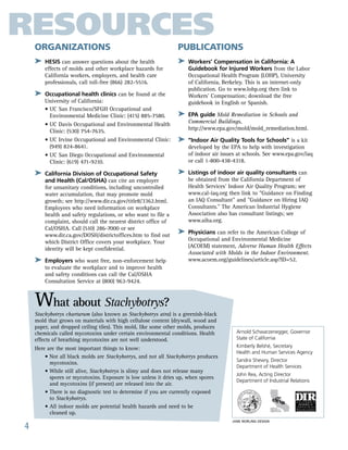 California Mold in the Workplace | PDF