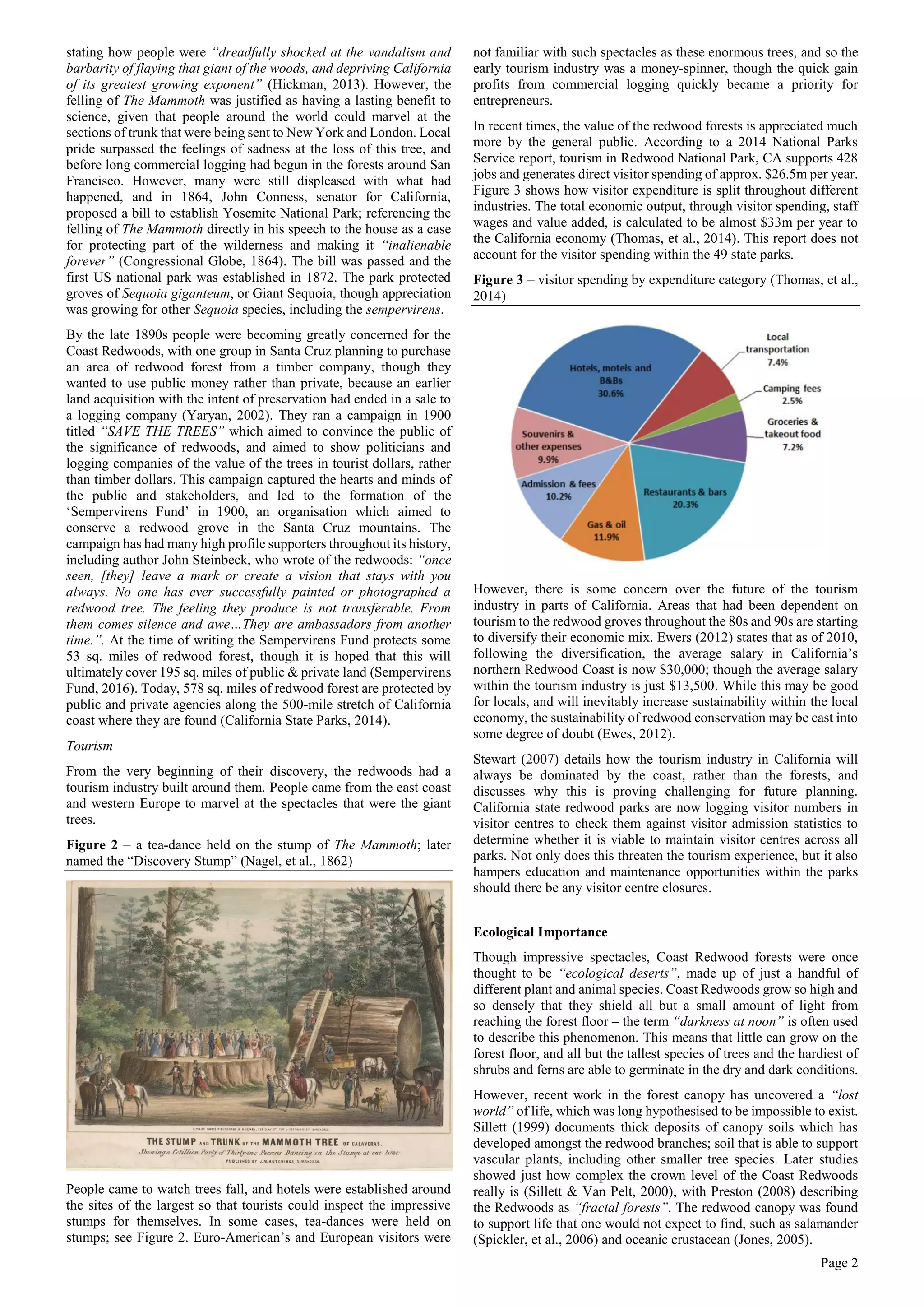 The Significance of Sequoia sempervirens (Coastal Redwood) Forests ...