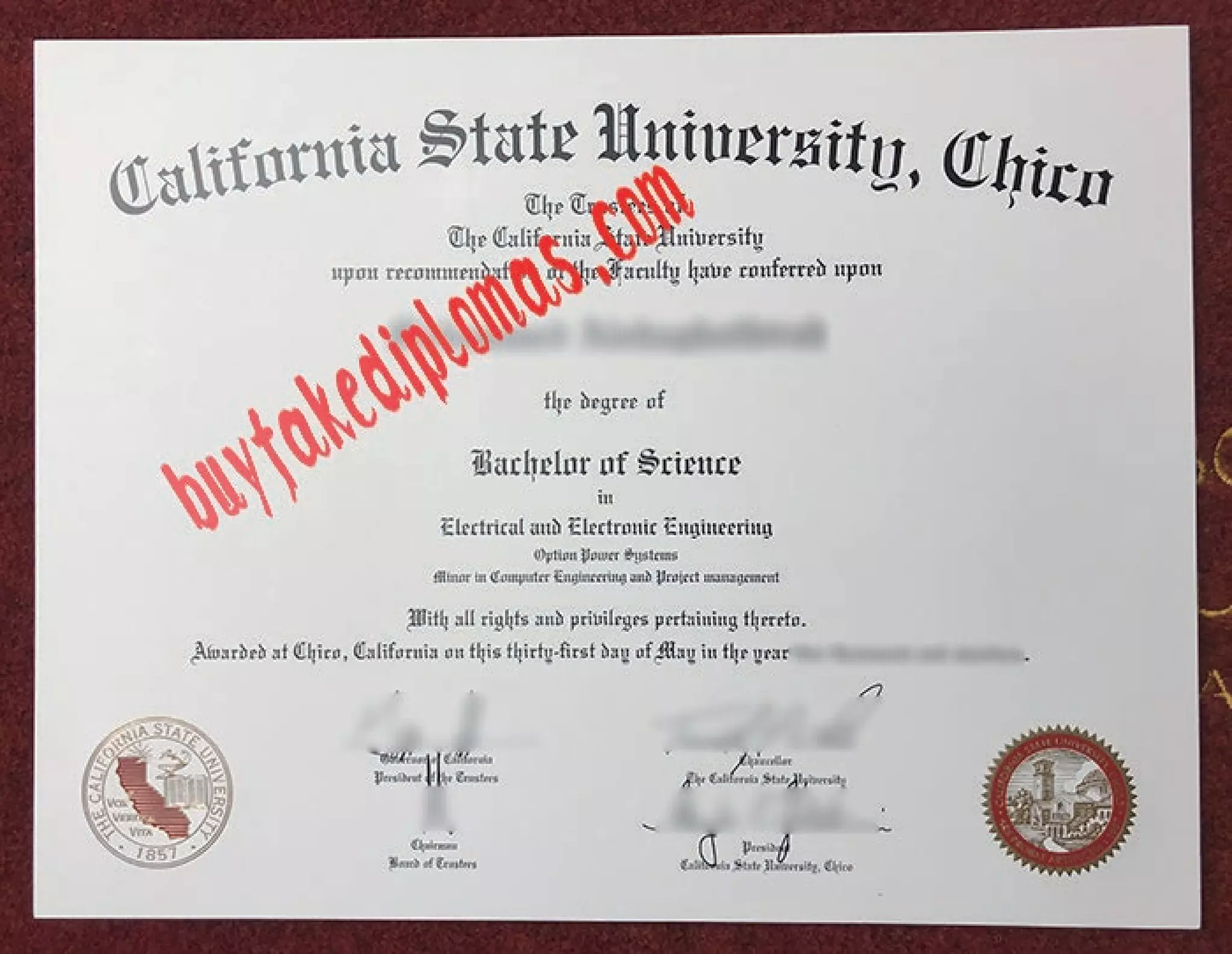 California State University Chico Degree.pdf