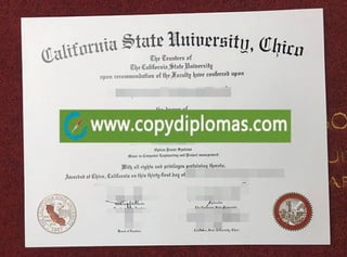 California State University Chico diploma, buy fake uk degree | PPT