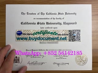 California State University, Hayward diploma | PDF