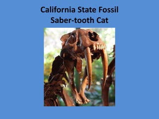 California symbols for kindergarten | PPT