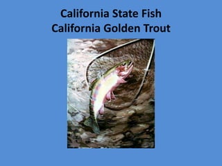 California symbols for kindergarten | PPT