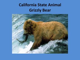 California symbols for kindergarten | PPTX