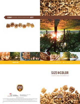 California walnuts- Sizing-Chart.pdf