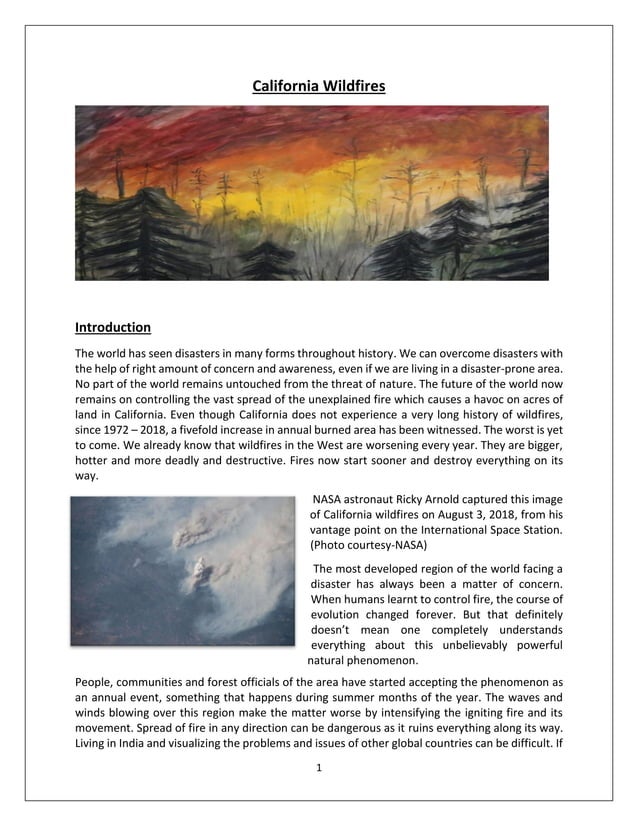 California wildfire | PDF