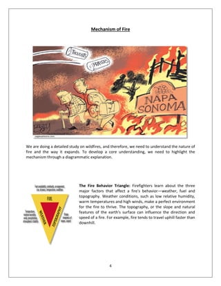 California wildfire | PDF | Disasters