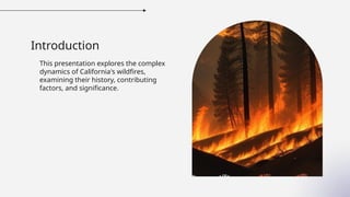 California Wildfires case study presentation | PPTX