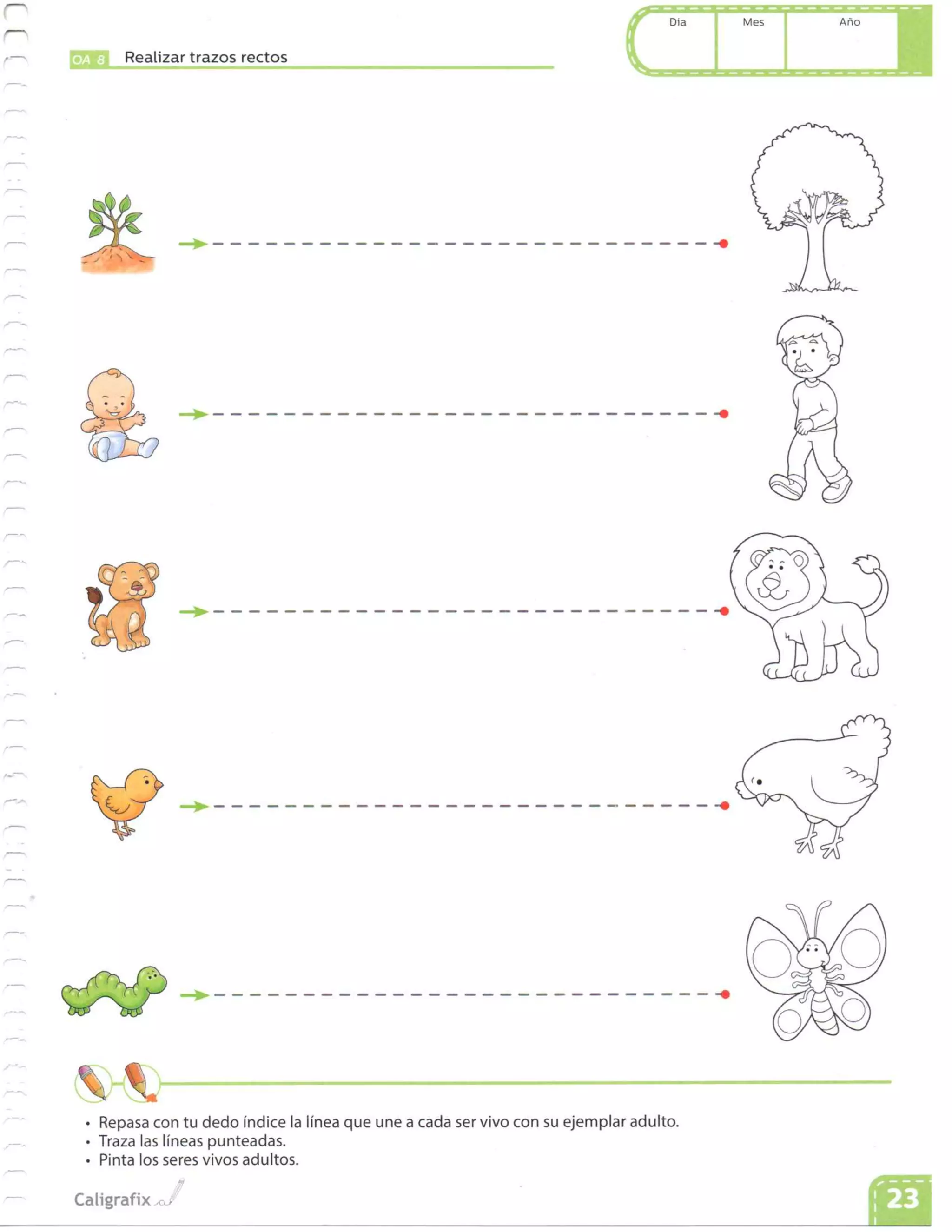 Caligrafix trazos y letras prekinder (1).pdf