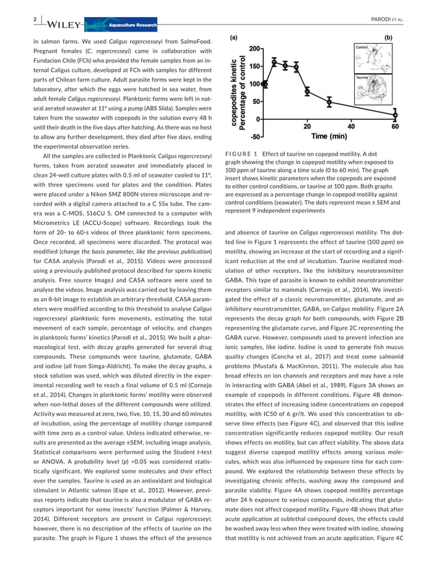 Caligus cinetica 2021.pdf