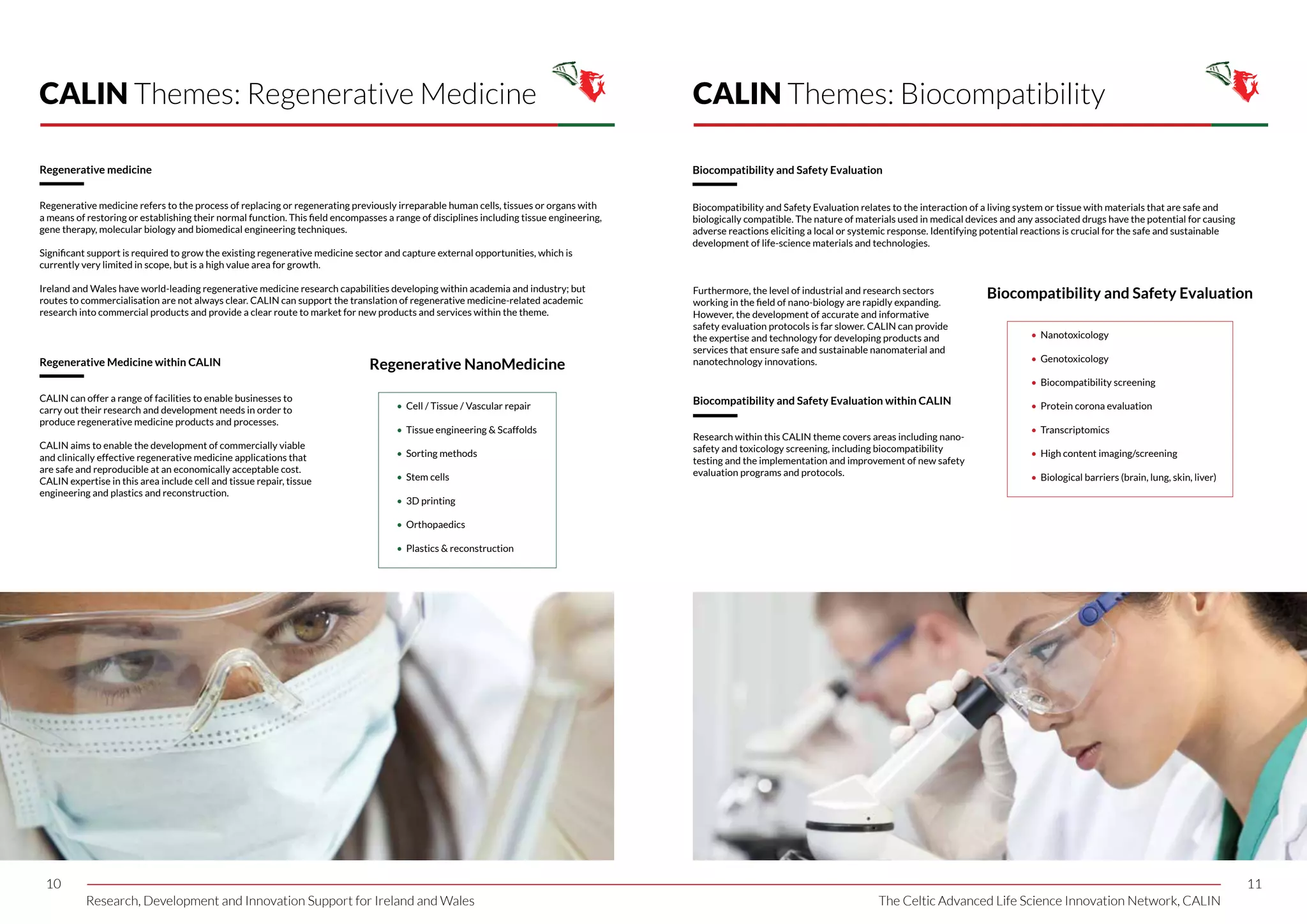 Calin brochure | PDF