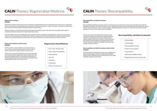 Calin brochure | PDF