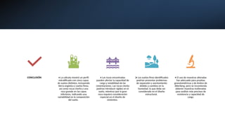 PROCEDIMIENTO DE UNA CALICATA (VALLE).pptx